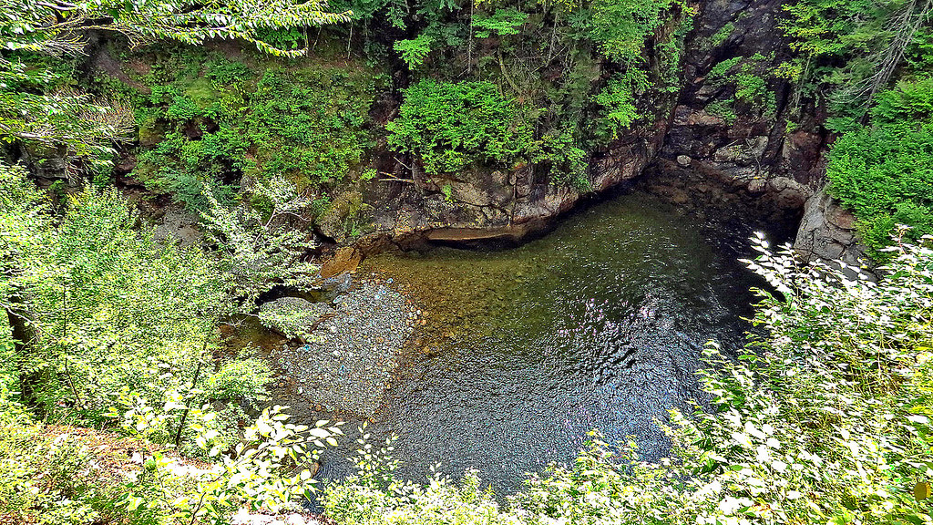 Pool Safety Inspections Donnybrook - Why You Need To Get One In ...